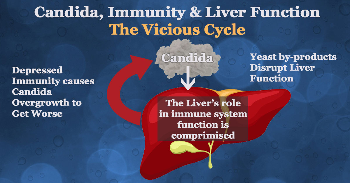 Candida (Candidiasis) - butterflyexpressions.net