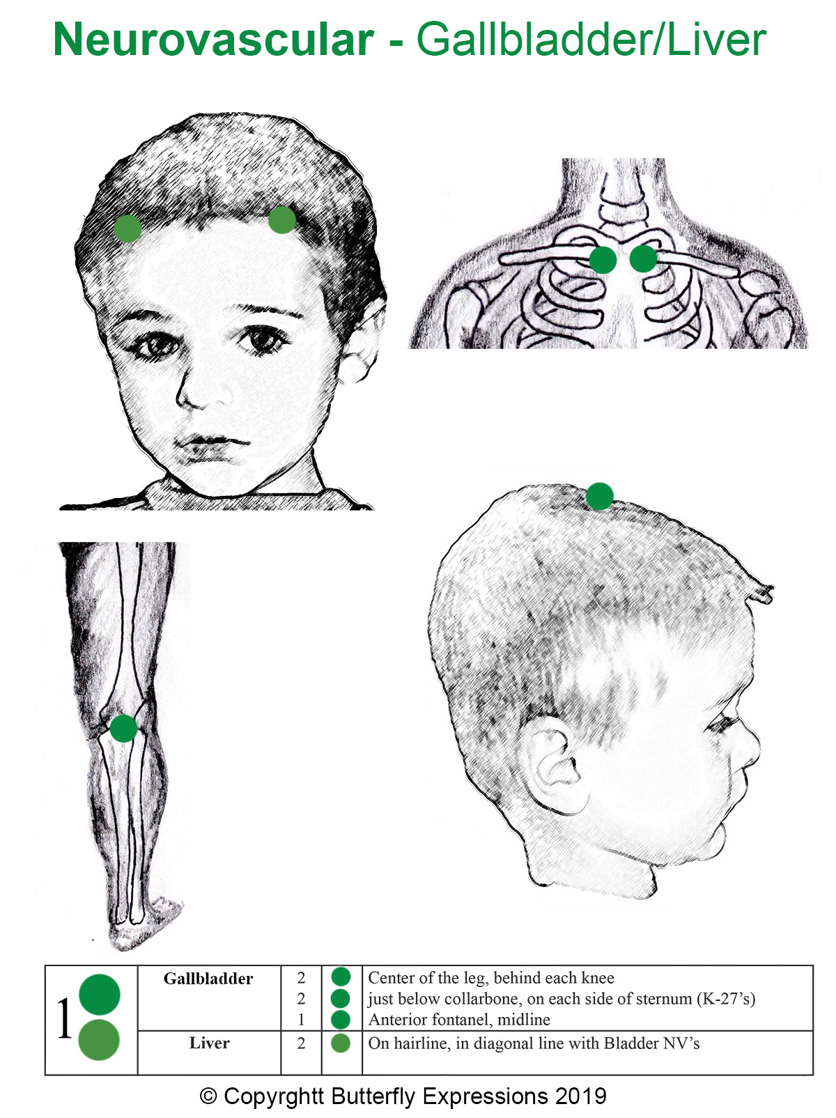 #12 TCM Headaches – 1 Gallbladder/Liver - butterflyexpressions.net