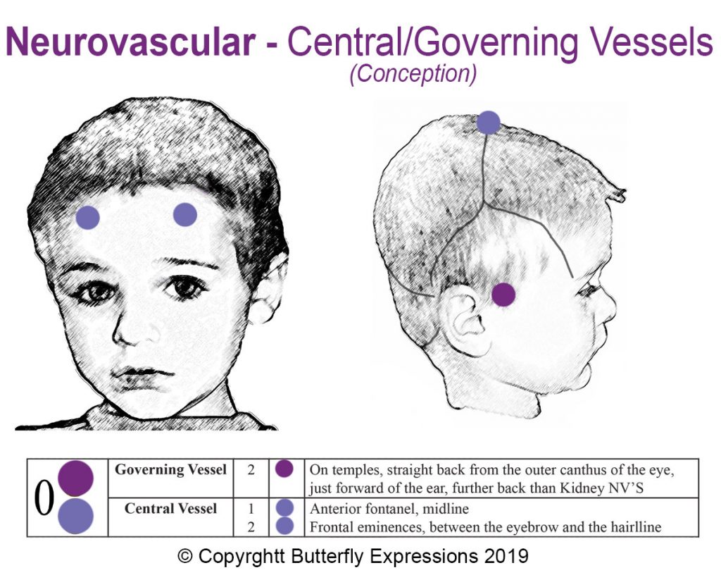 #18 -TCM Headaches – 0 Governing Vessel/Central Vessel ...