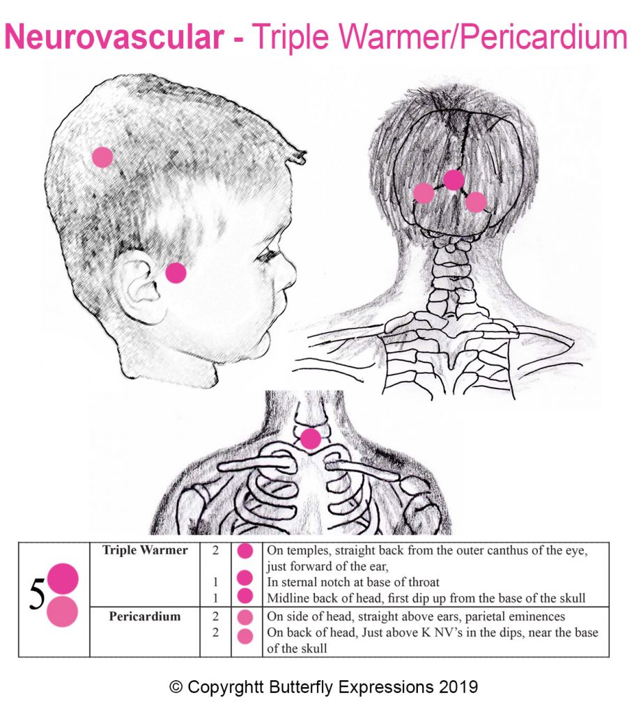 #16 -TCM Headaches – 5 Triple Warmer/Pericardium - butterflyexpressions.net