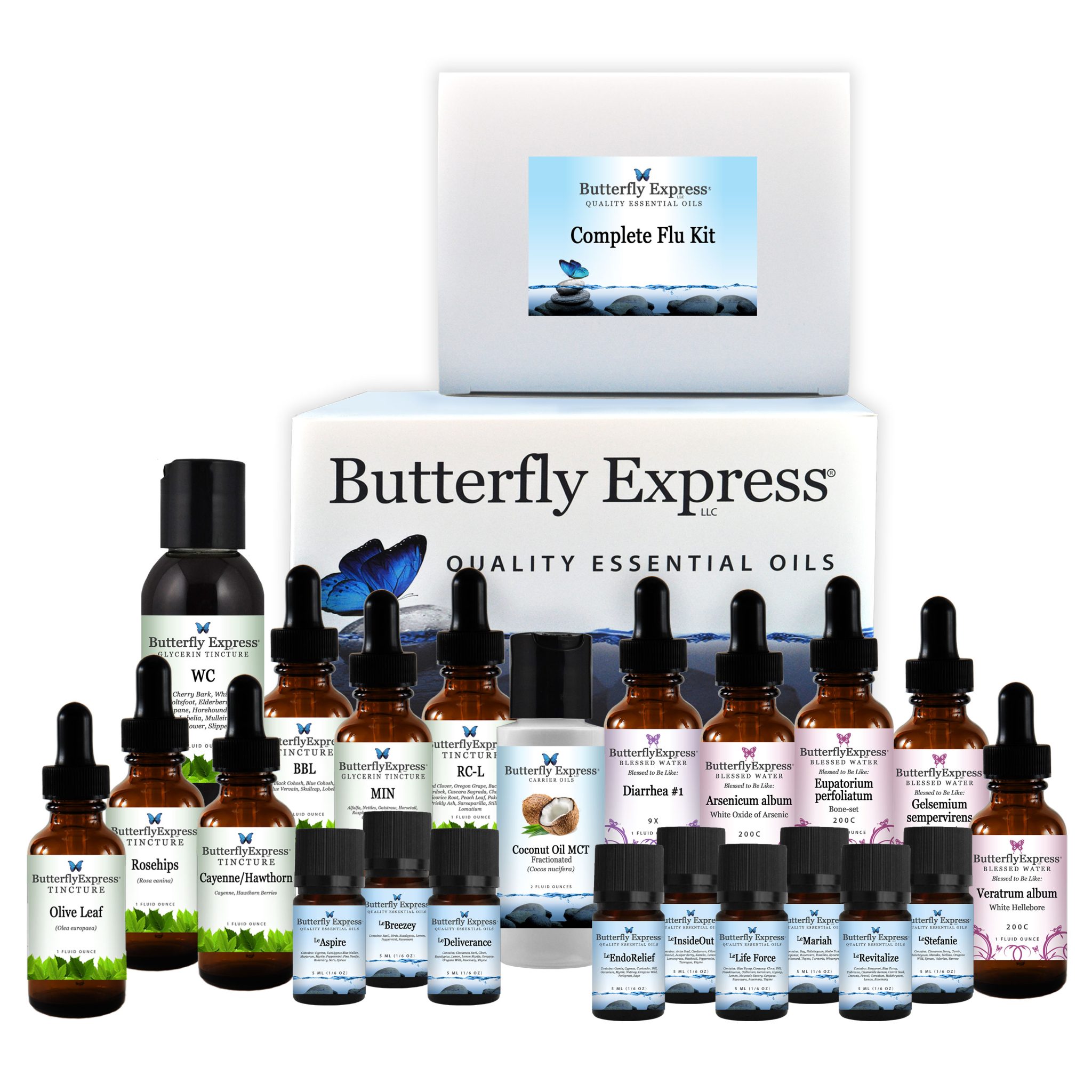Influenza - butterflyexpressions.net